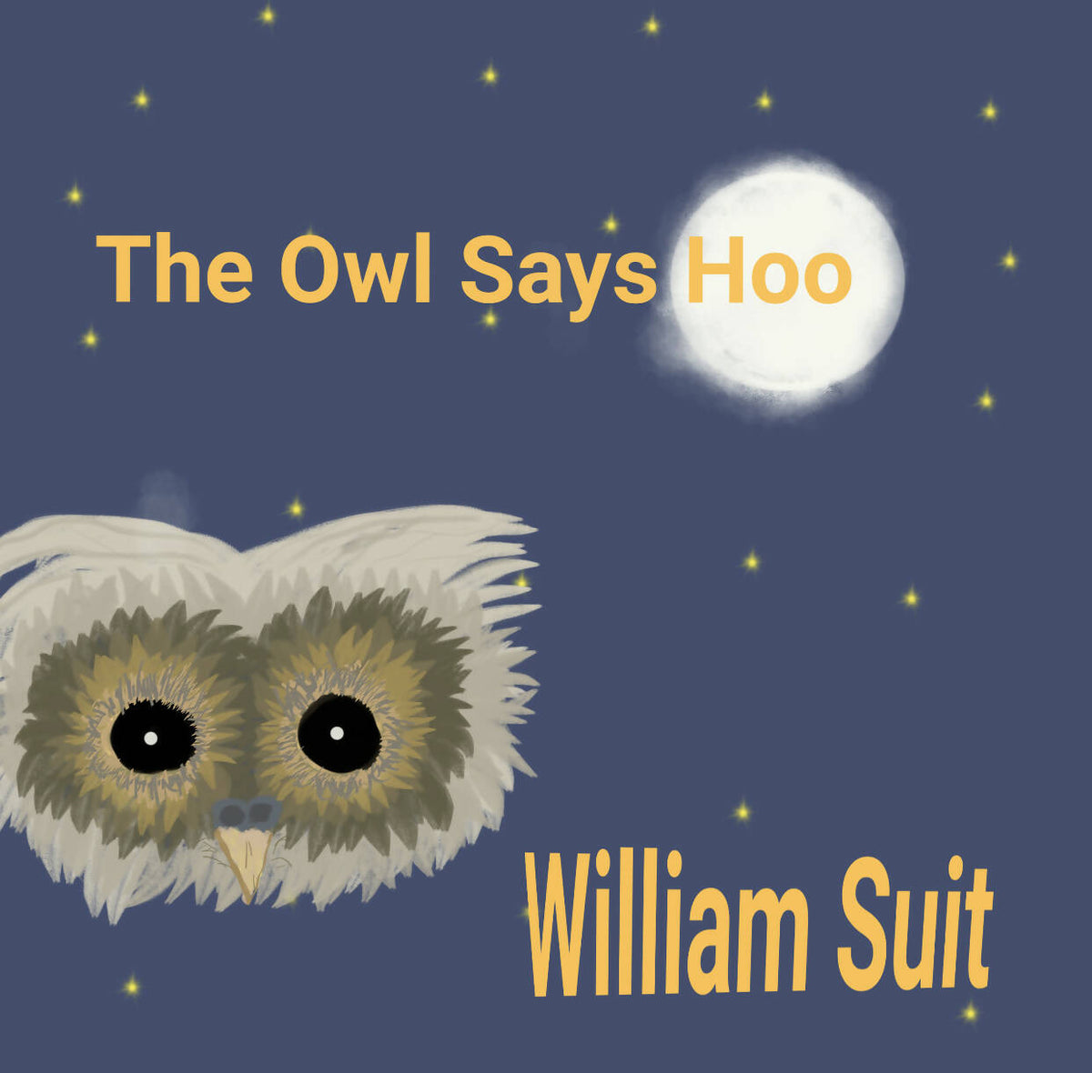 The Owl Says Hoo Piano Book for Kids – Music Teacher Resources