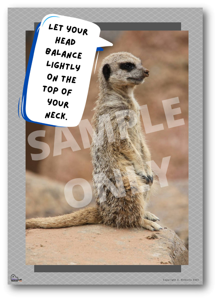 ‘Good Posture’ Posters – Music Teacher Resources