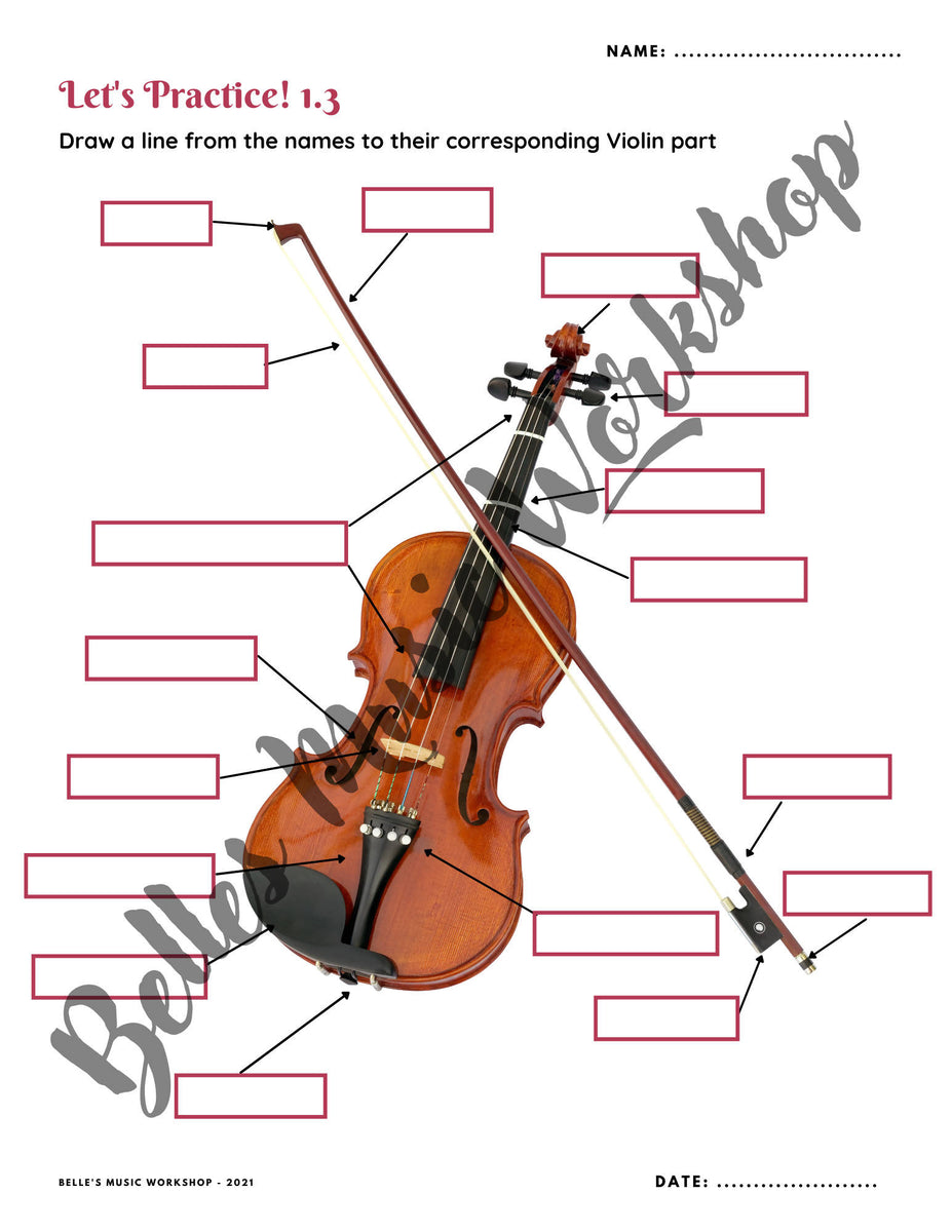 Parts of the Violin Worksheets and Flashcards – Music Teacher Resources